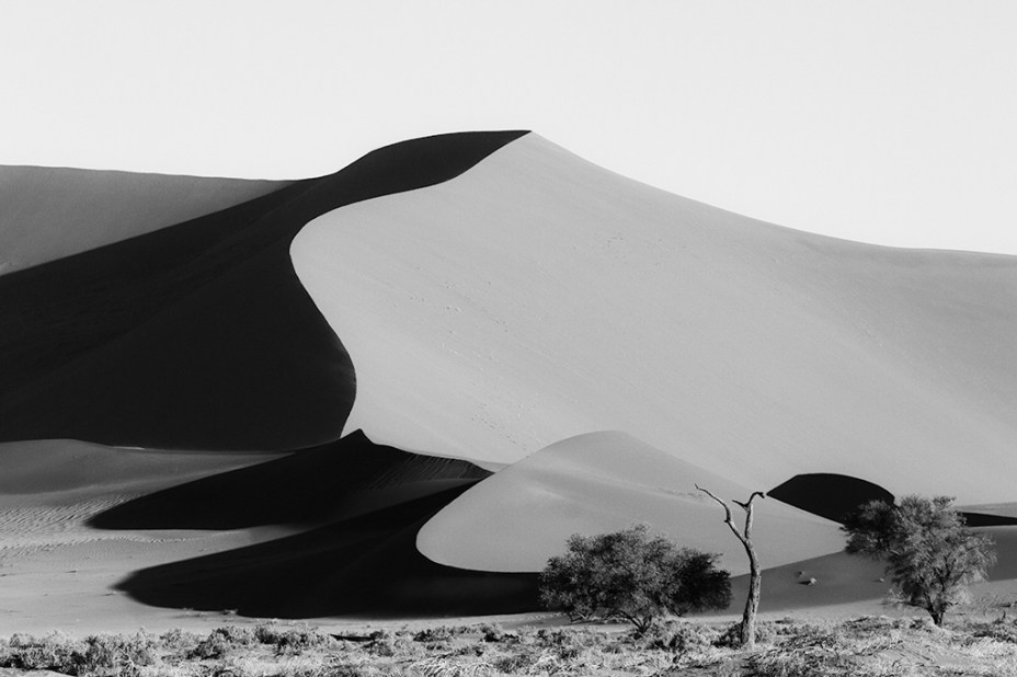 Terri Gold Wins Honorable Mention at 12th Black & White Spider Awards ...